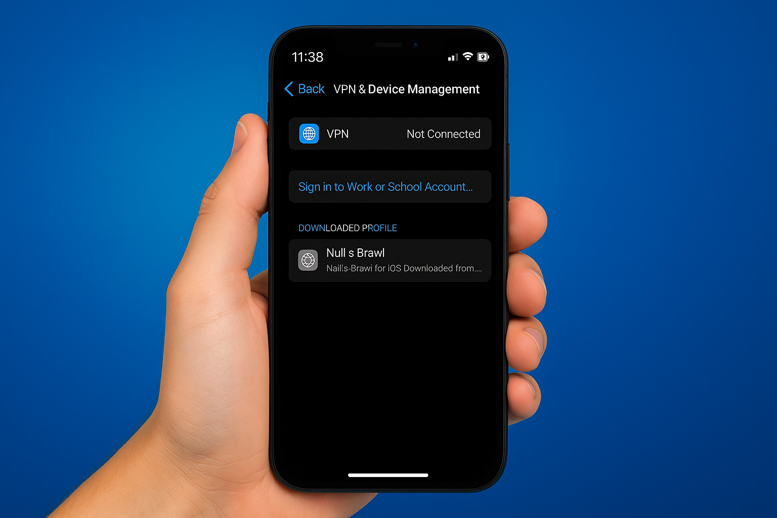 Null's Brawl iOS 2025 - Safe Download with All Characters Unlocked!