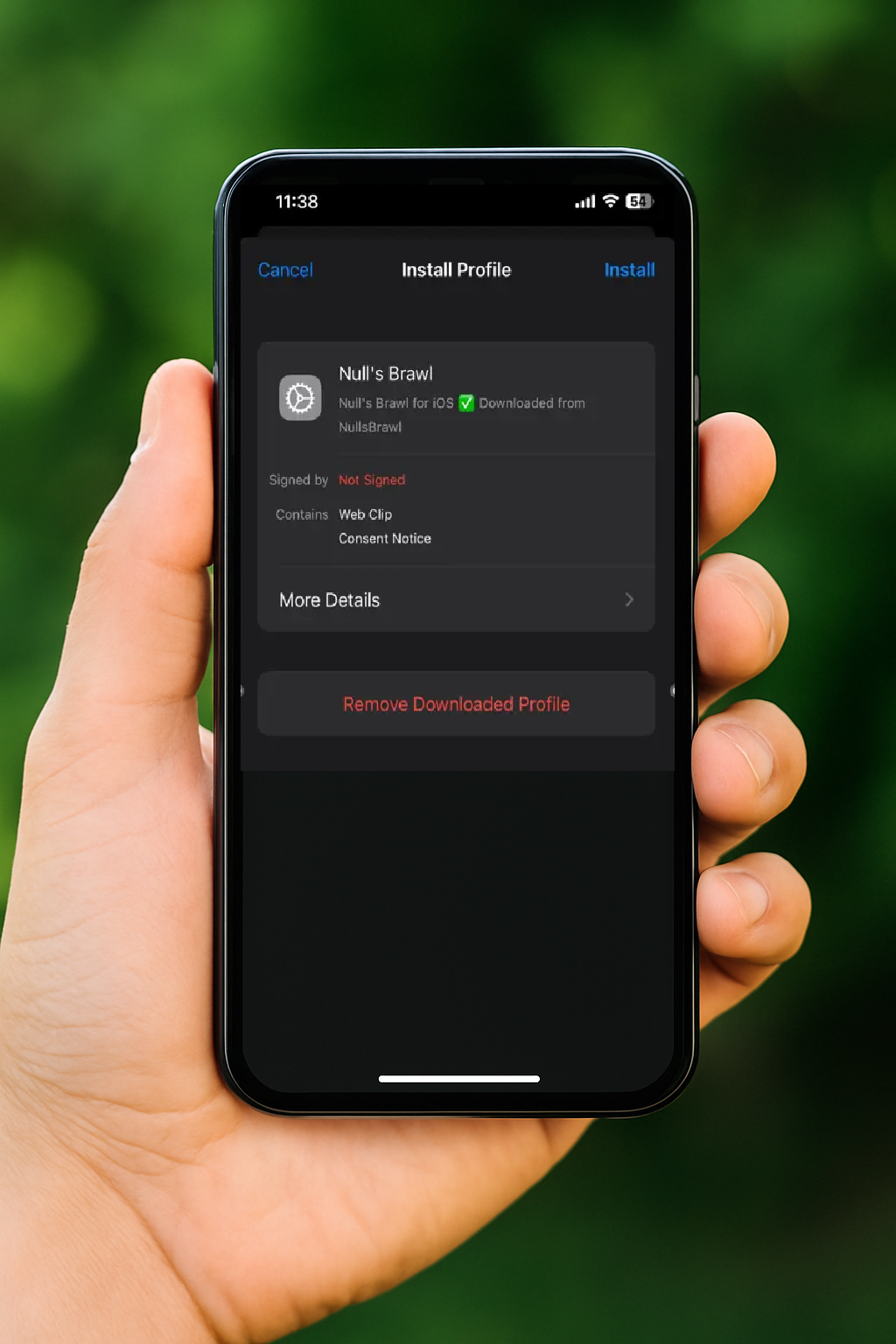 Null's Brawl iOS 2025 - Safe Download with All Characters Unlocked!